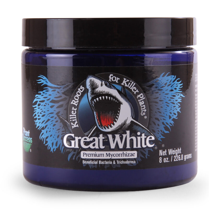 Great White Premium Mycorrhizae - con bacterias beneficiosas y ...